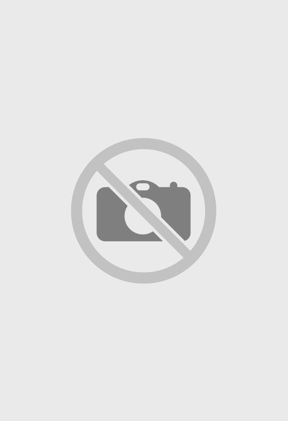 About | Brandt Holdings Company, Export Division Brandt Tractor Sales ...